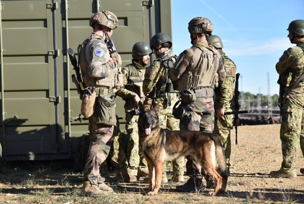 Europe’s largest counter-IED exercise Bison Counter concluded in Spain ...